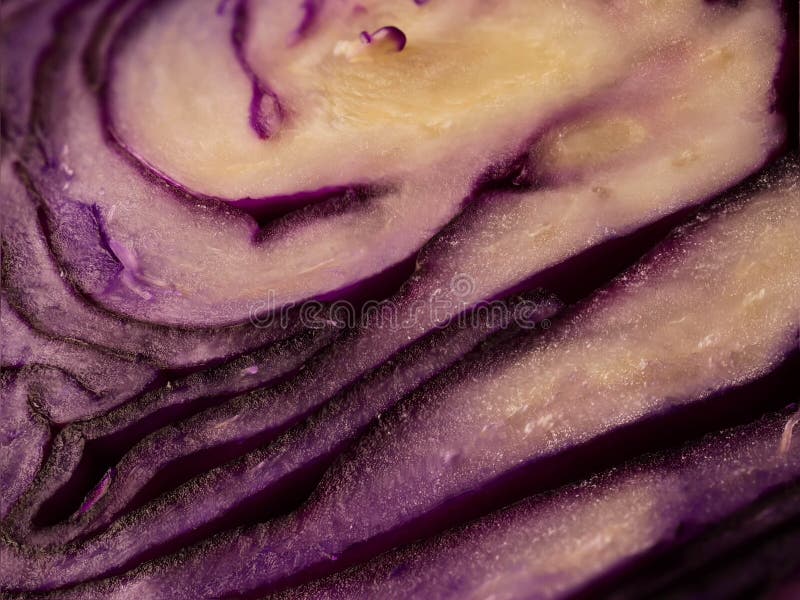 Red Cabbage Close-up. the Texture of the Cut Cabbage Stock Photo ...