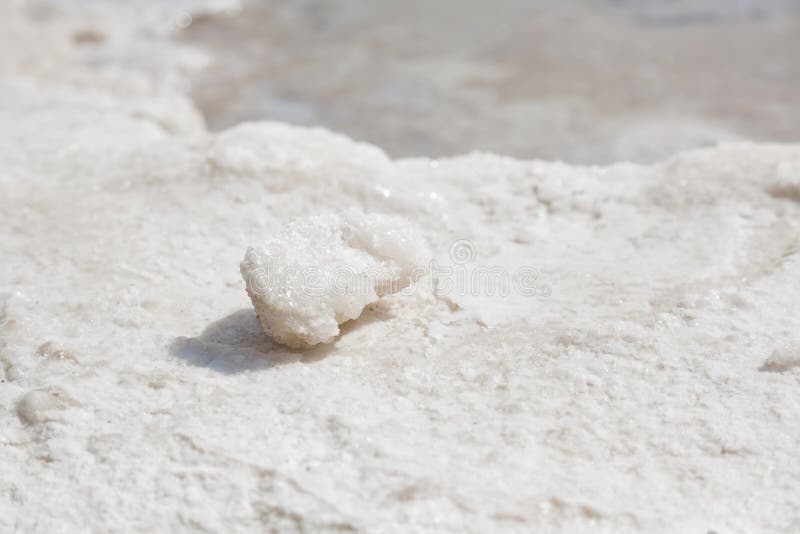 Natural Salt Crystals at the Dead Sea Stock Image - Image of seascape ...