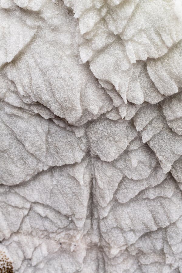 Natural Salt Rock. Salt Texture in Peruvian Stock Image - Image of ...