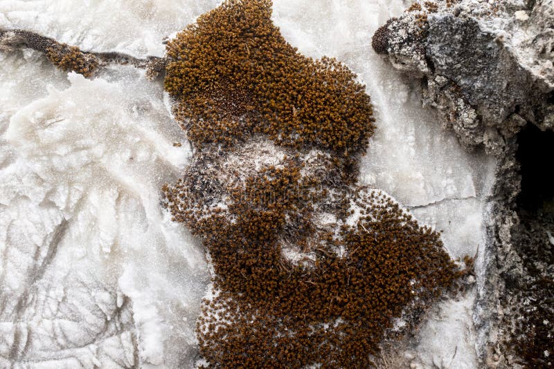 Natural Salt Rock. Salt Texture in Peruvian Stock Image - Image of salt ...