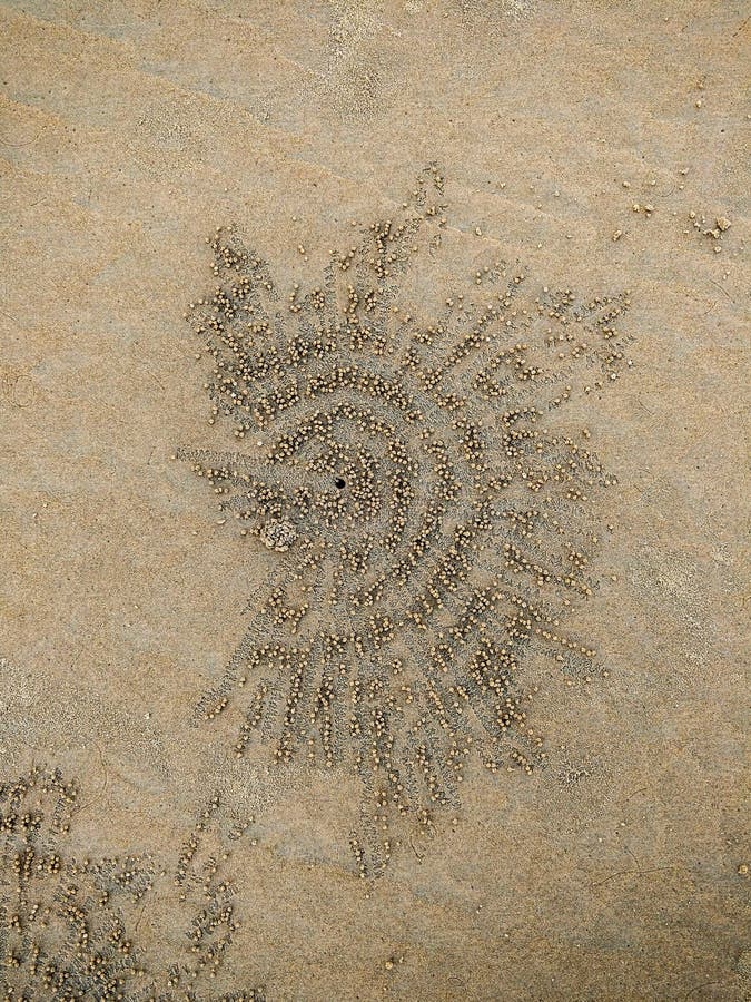 Natural sand art stock image. Image of sand, crabs, natural - 75992751