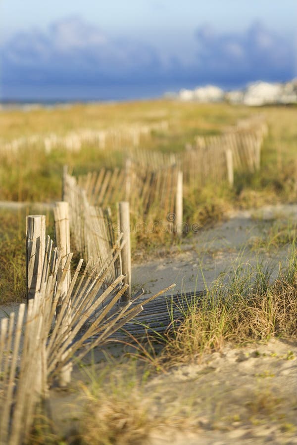 Natural Sand Dune Beach Area. Stock Image - Image of scenic, vertical ...