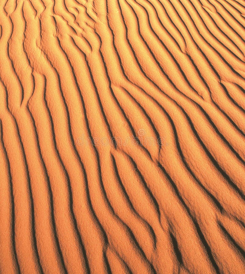 Natural sand dunes. stock image. Image of pattern, dunes - 91712309