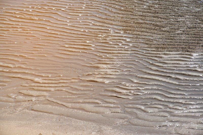 Patterns in the Beach Sand Made by Sand Worms Stock Image - Image of ...