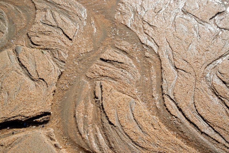 Patterns in the Beach Sand Made by Sand Worms Stock Image - Image of ...