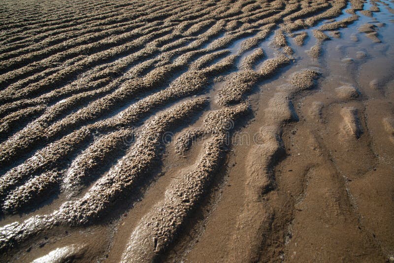 Natural Sand Patterns in Beach at Low Tide. Stock Photo - Image of ...