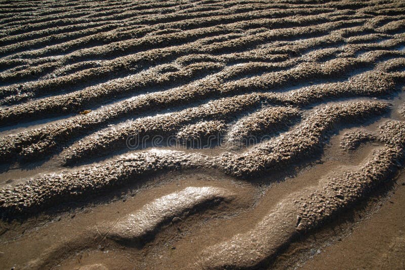 Natural Sand Patterns In Beach At Low Tide. Stock Image - Image of ...