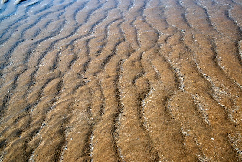 Patterns in the Beach Sand Made by Sand Worms Stock Image - Image of ...