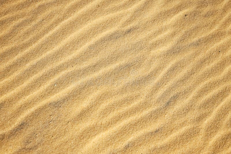 Natural Sand Surface Texture with Ripple Pattern for Eco-friendly ...