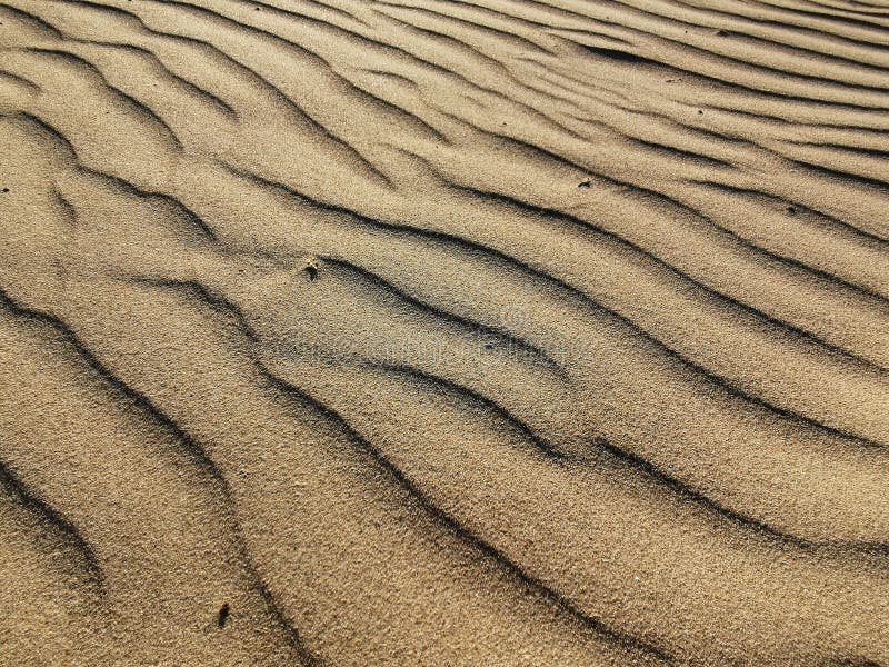 Natural sand texture stock image. Image of textured - 259929123