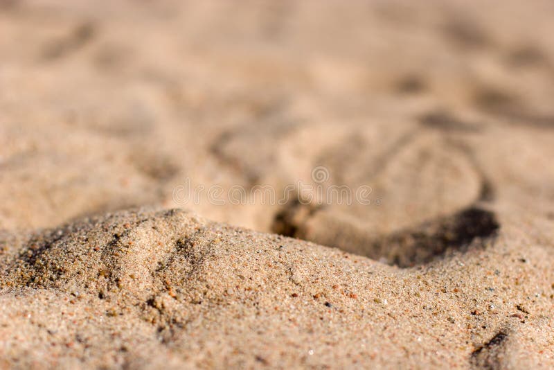 Natural Sand Texture Background with Selective Shallow Focus. Stock ...