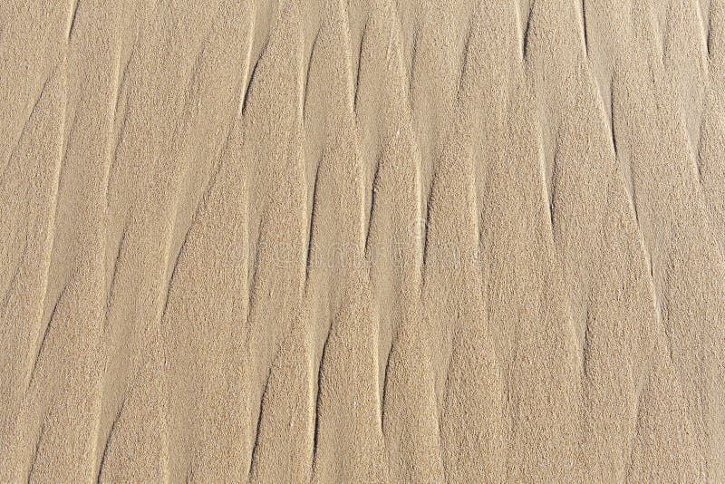 Natural Sand Texture of the Beach Stock Image - Image of brands ...