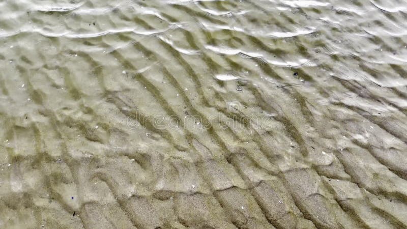 Natural Sand Texture Beneath Shallow Water with Ripples and Patterns ...