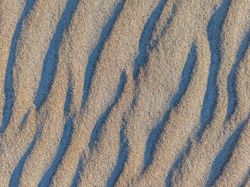 Natural Sand Texture. Sandy Beach for Background. Top View Stock Image ...