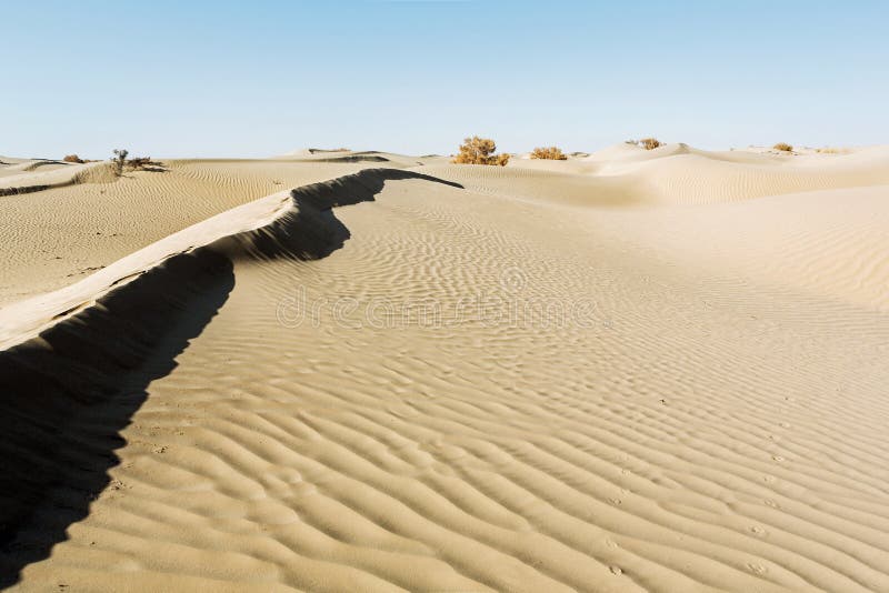 Natural Sand Waves in Desert Stock Photo - Image of nature, pattern ...
