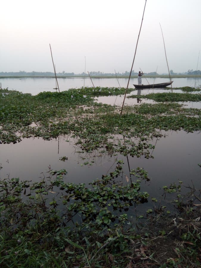 Natural scenario stock photo. Image of area, bangladesh - 108862352