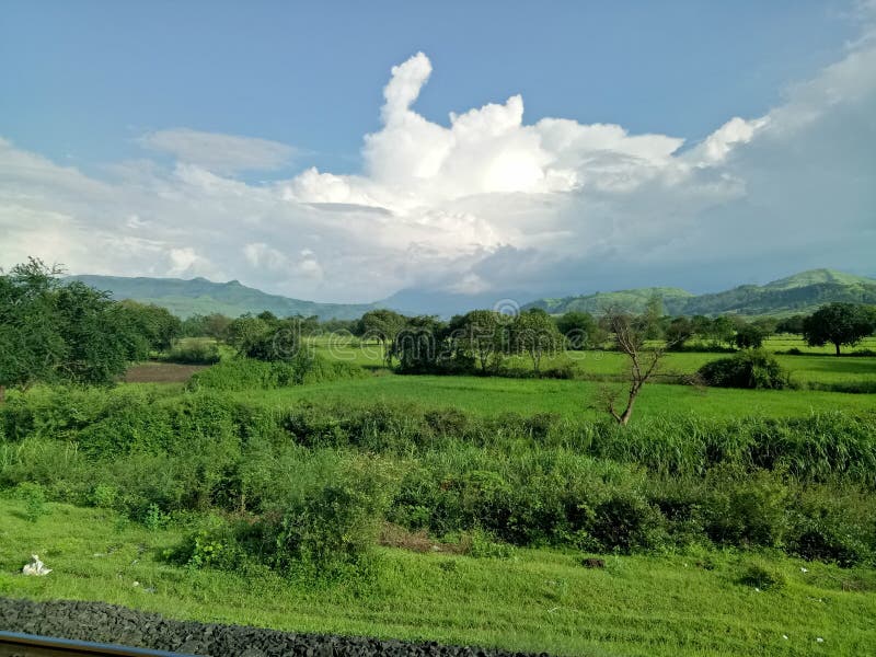 Natural scene stock image. Image of moving, click, scene - 102279413