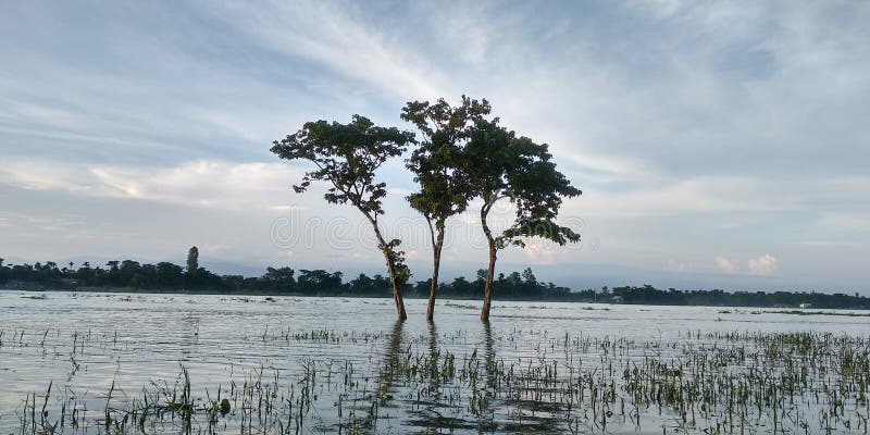 Natural Scene stock photo. Image of natural, beautiful - 121160192