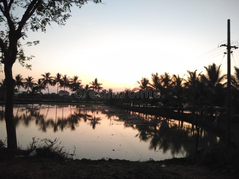 Natural Scene and Sun Set Senario Stock Image - Image of senario ...