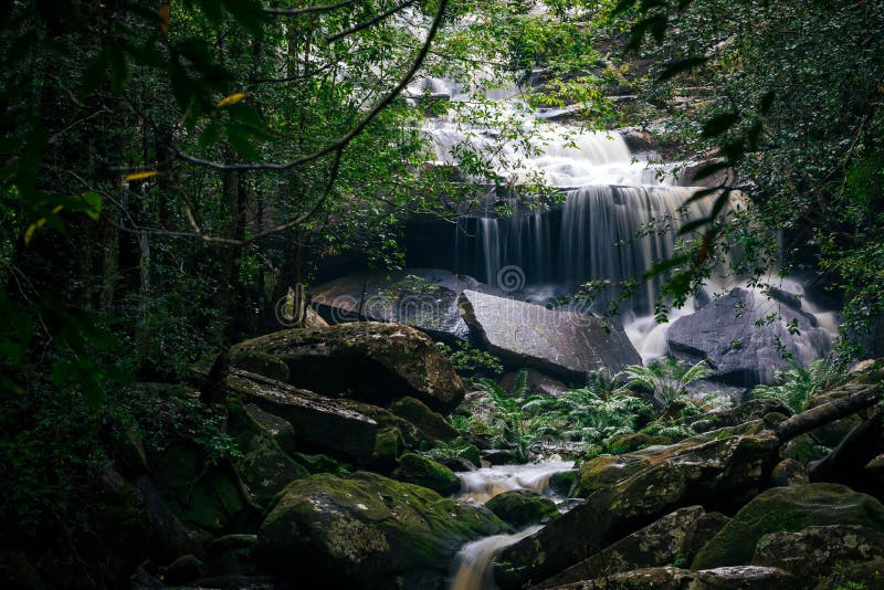 Natural Scene of Waterfall Inside Tropical Rainforest after Rainfall ...