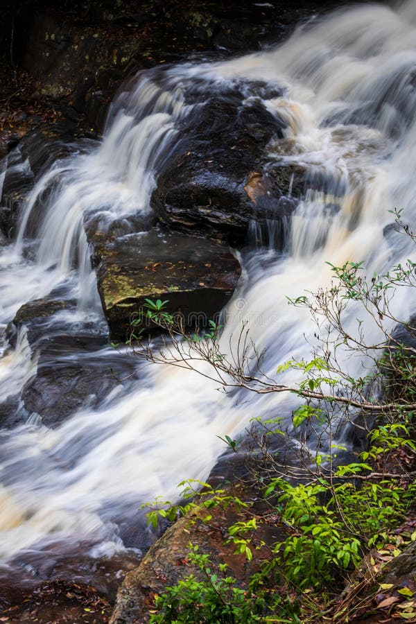 Natural Scene of Waterfall Inside Tropical Rainforest after Rainfall ...