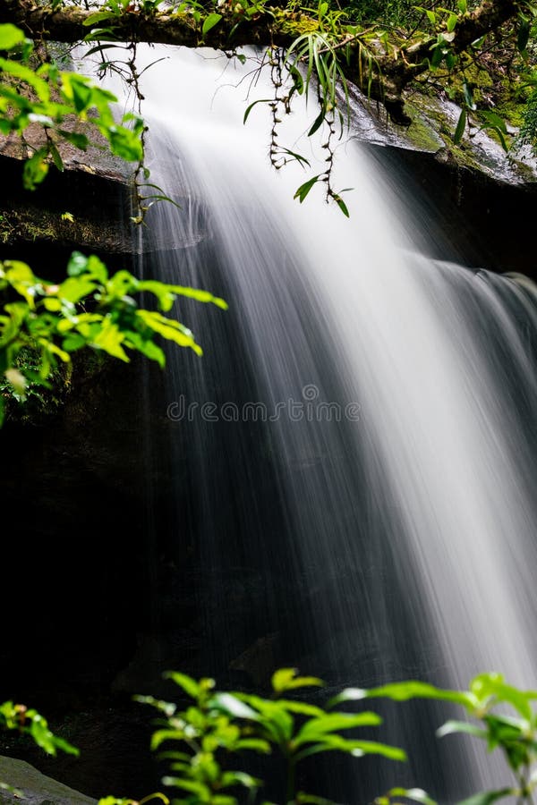 Natural Scene of Waterfall Inside Tropical Rainforest after Rainfall ...