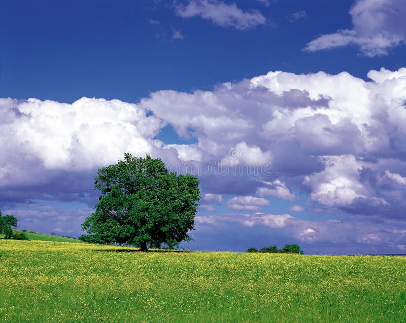 Natural Scenery stock image. Image of blue, outdoors, field - 765635