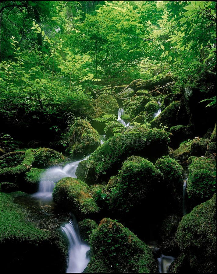 Natural Scenery stock image. Image of adventure, outdoors - 765711