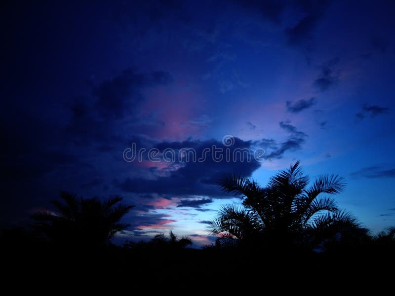 The Natural Scenery in the Afternoon is Perfect, Dark, Beautiful and ...