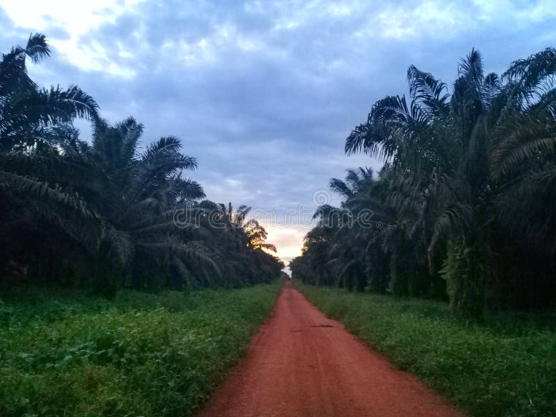 Natural Scenery in the Afternoon Stock Photo - Image of afternoon ...