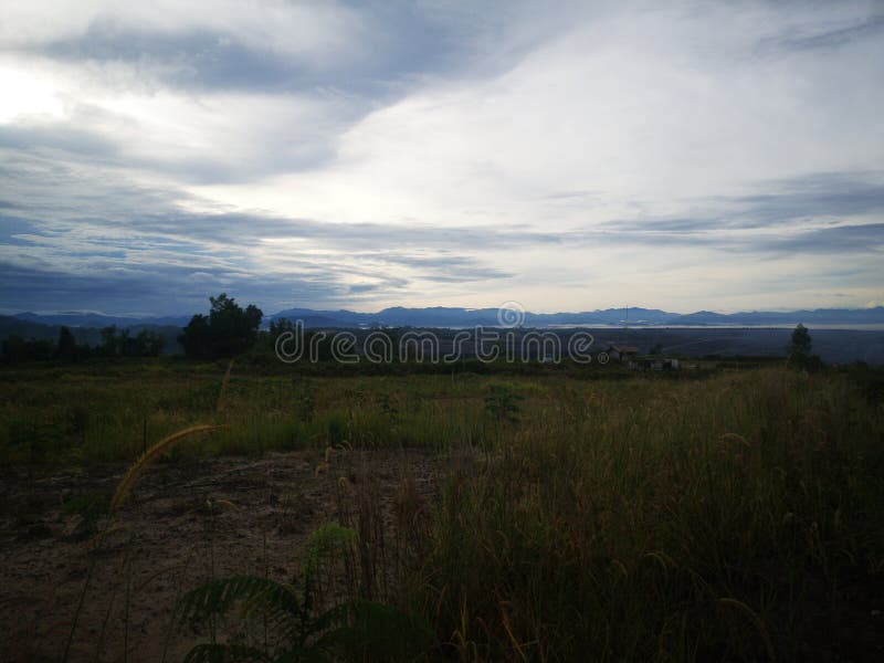 Natural scenery stock photo. Image of grass, scenery - 294561152