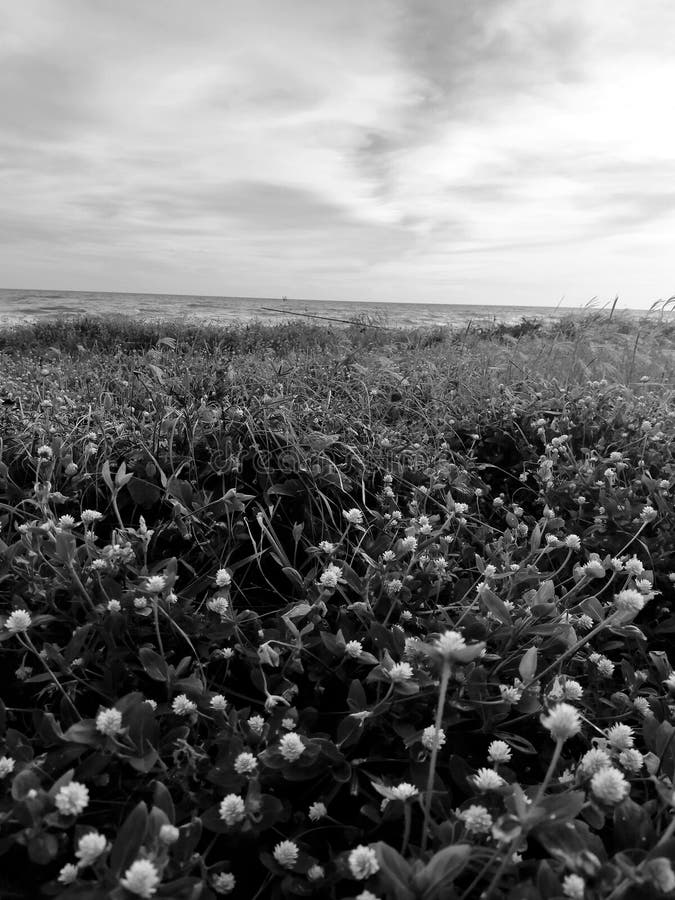 Natural Scenery in Different Places Stock Image - Image of monochrome ...