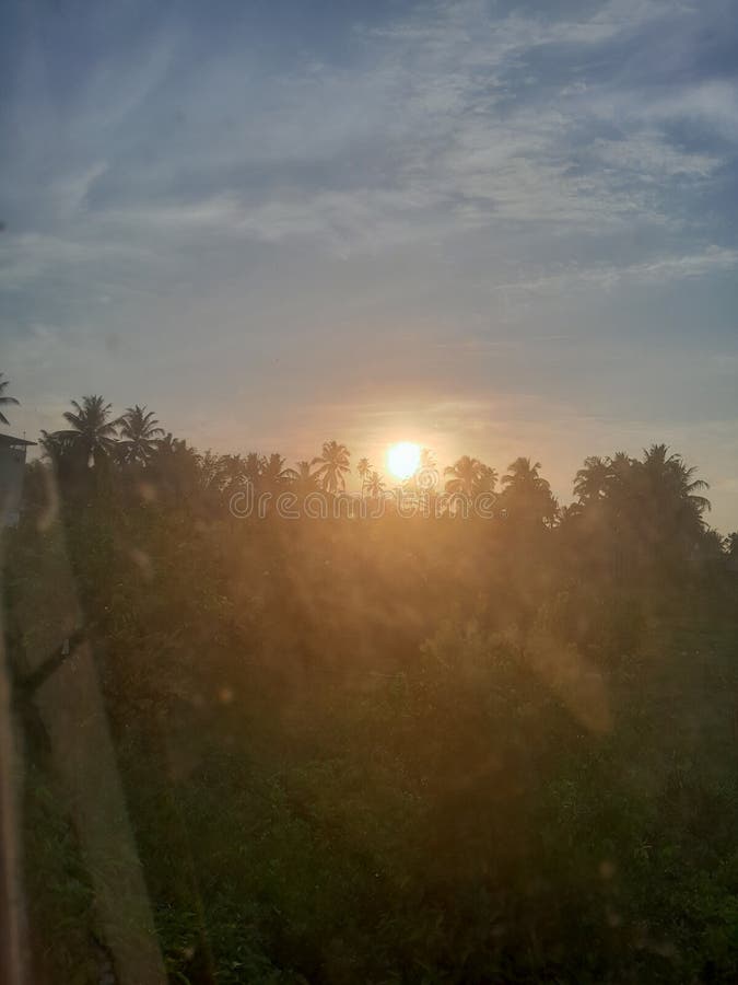 Natural Scenery in the Forest when the Sun Rises in the Morning. Stock ...