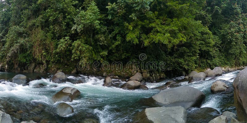 Natural Scenery in the Form of a River in the Petungkryana Area ...