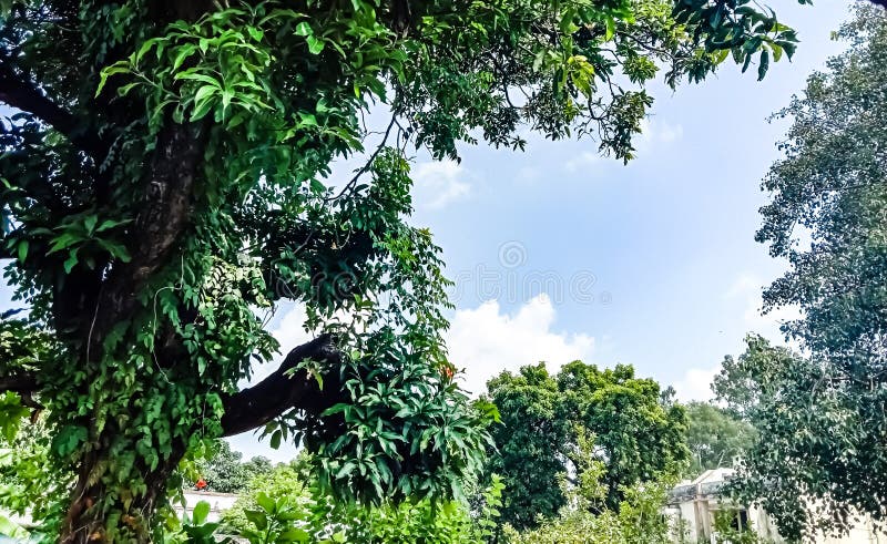 Natural Scenery during Full Noon with Clouds Stock Image - Image of ...