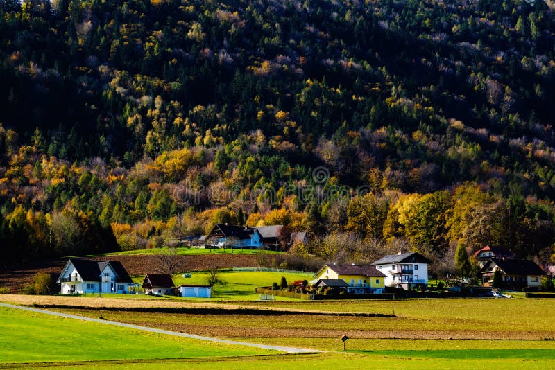 Southern Styria Austria Red Wine: Grape Vines in the Vineyard before ...