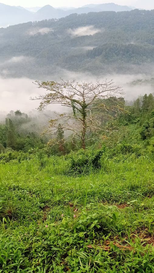 Natural Scenery, the Location of Giyombong Village, Bruno Sub-district ...
