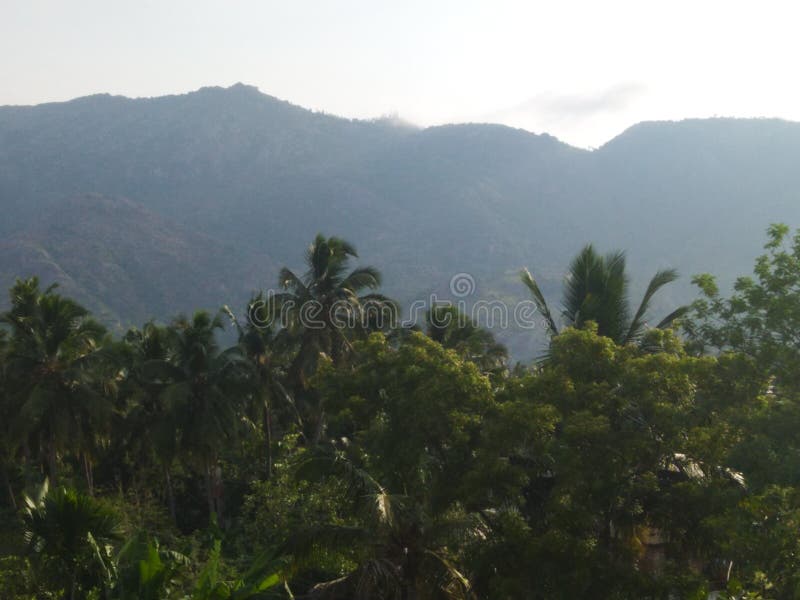 Natural scenery stock image. Image of prosperity, heaven - 148583567