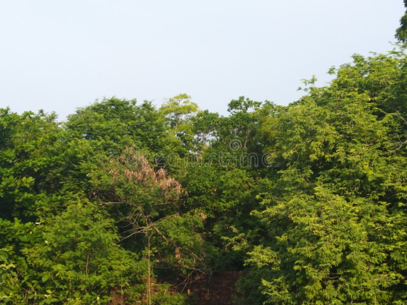 Natural scenery stock photo. Image of green, prosperity - 148583628