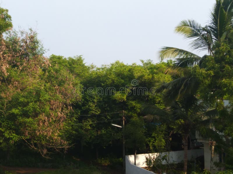 Natural scenery stock image. Image of heaven, prosperity - 148583637