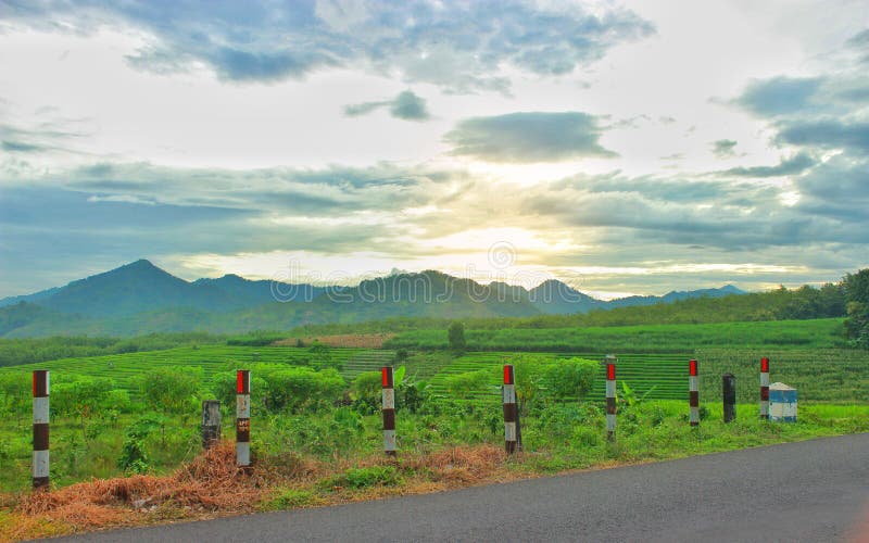 The Natural Scenery, the Rice Fields of the Local Residents Look ...