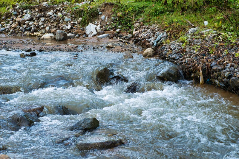 117 Beautiful Red Currents Stock Photos - Free & Royalty-Free Stock ...