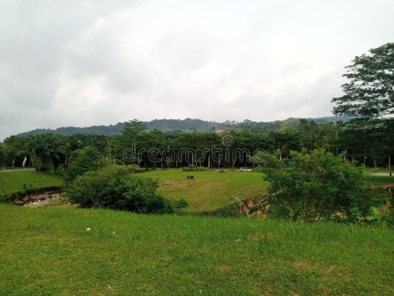 Natural Scenery with Two Main Colors of Tree Green and Grass Green ...