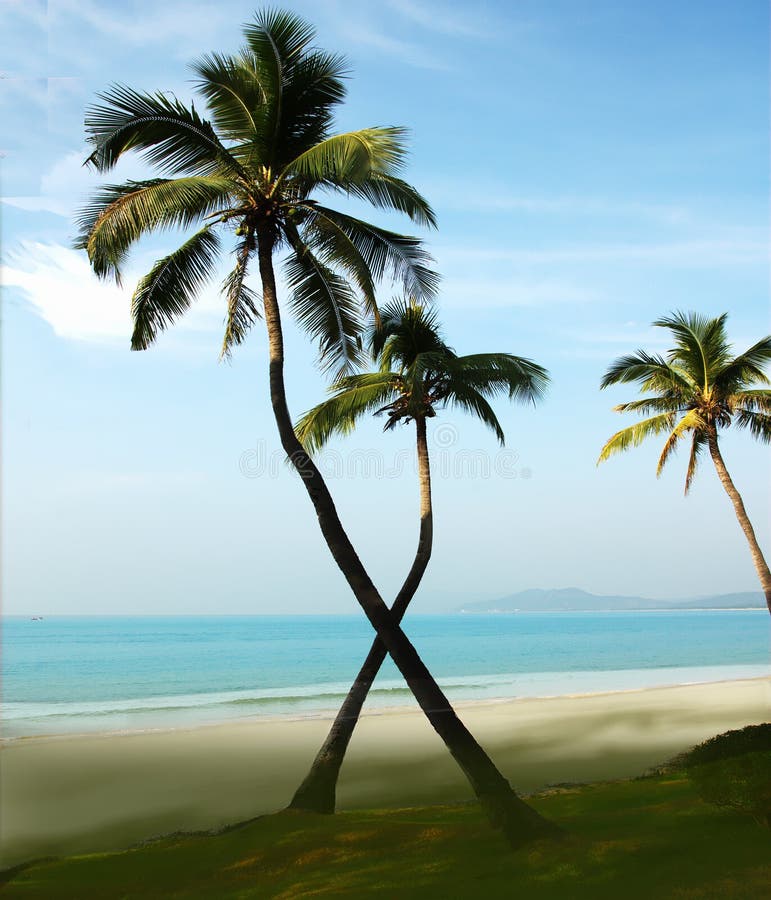 The natural scenery stock photo. Image of palm, blue - 44784420