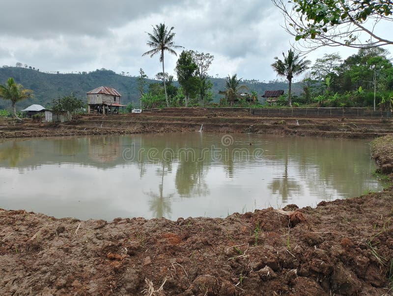 The Natural Scenery is Very Beautiful and Interesting in Every Corner ...