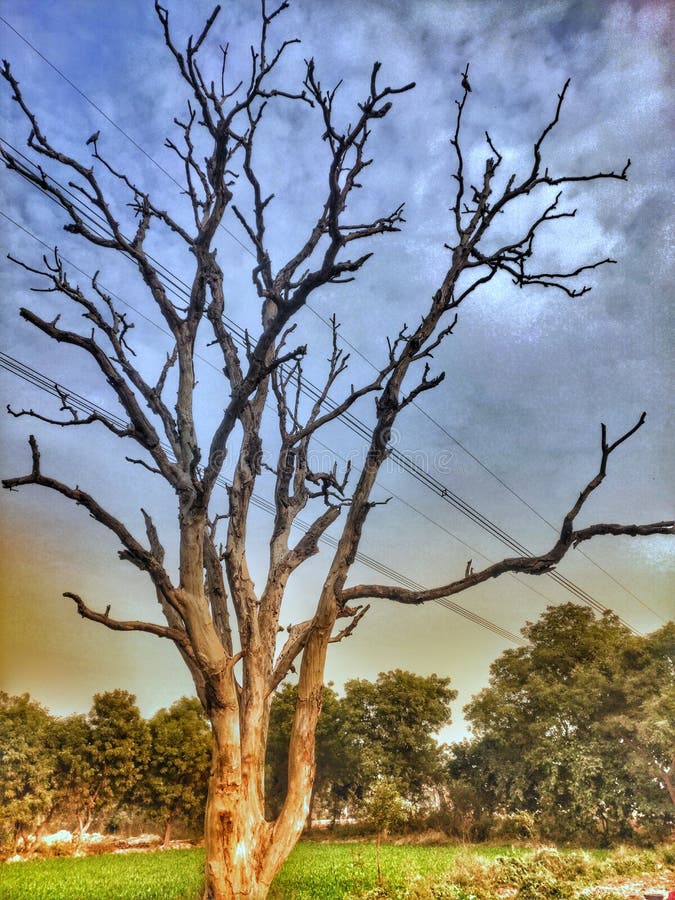 Natural Scenes of the Fields after Rain Stock Photo - Image of clouds ...