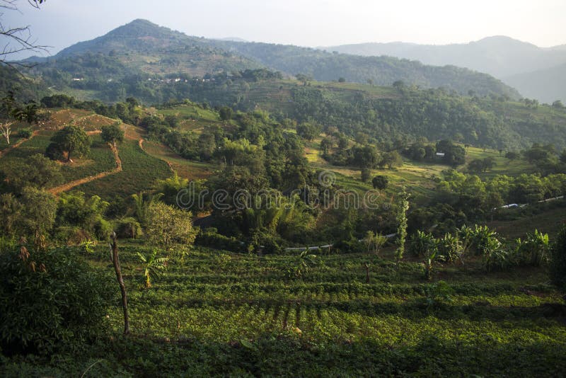 Natural Scenes from Hill Rood Stock Image - Image of trees, confused ...