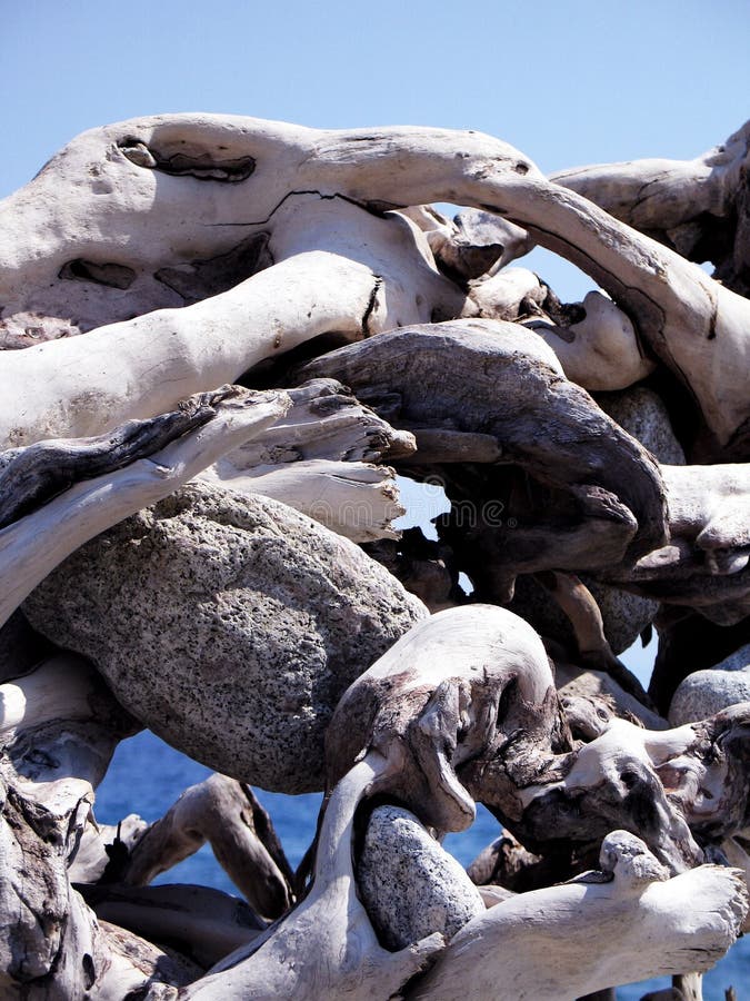 Natural sculpture stock image. Image of sunlight, sculpture - 220991