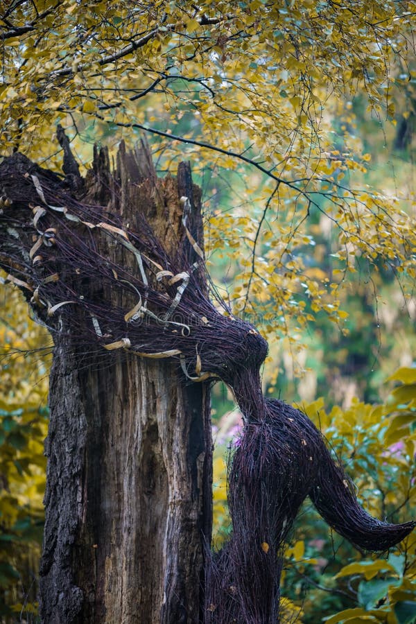 Natural Sculpture Made from Tree Branches Associated with Autumn Coming ...