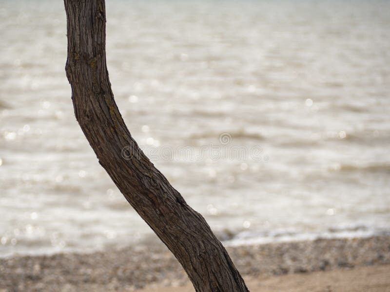 702 Two Thirds Photos - Free & Royalty-Free Stock Photos from Dreamstime